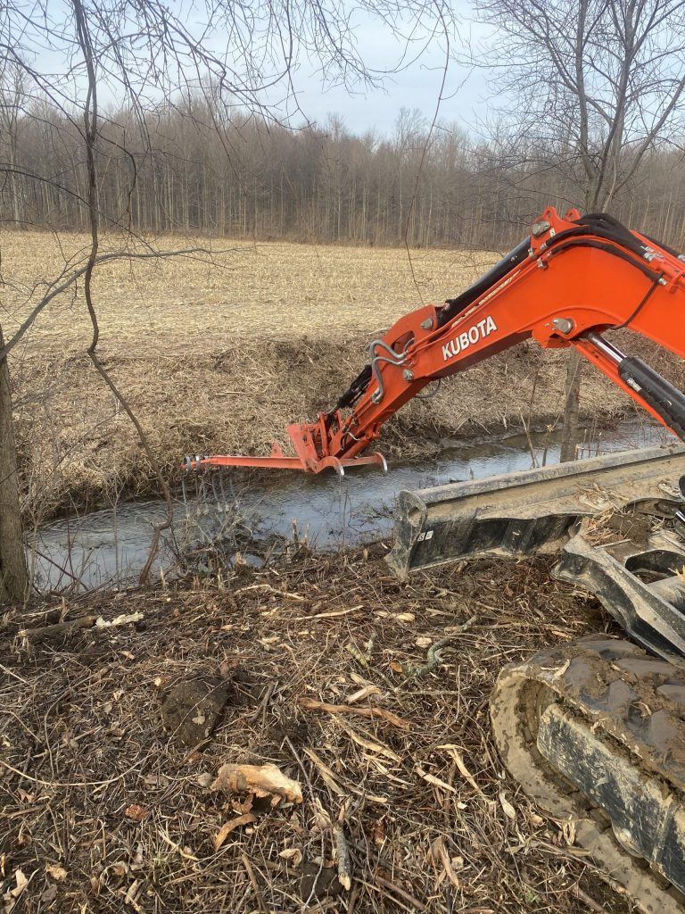 Brush Removal - Para's Construction Chatham-Kent - Skid Steer ...